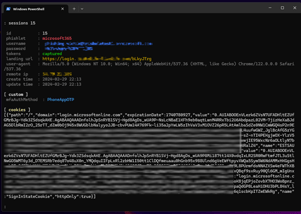 Understanding Token Theft | Triskele Labs