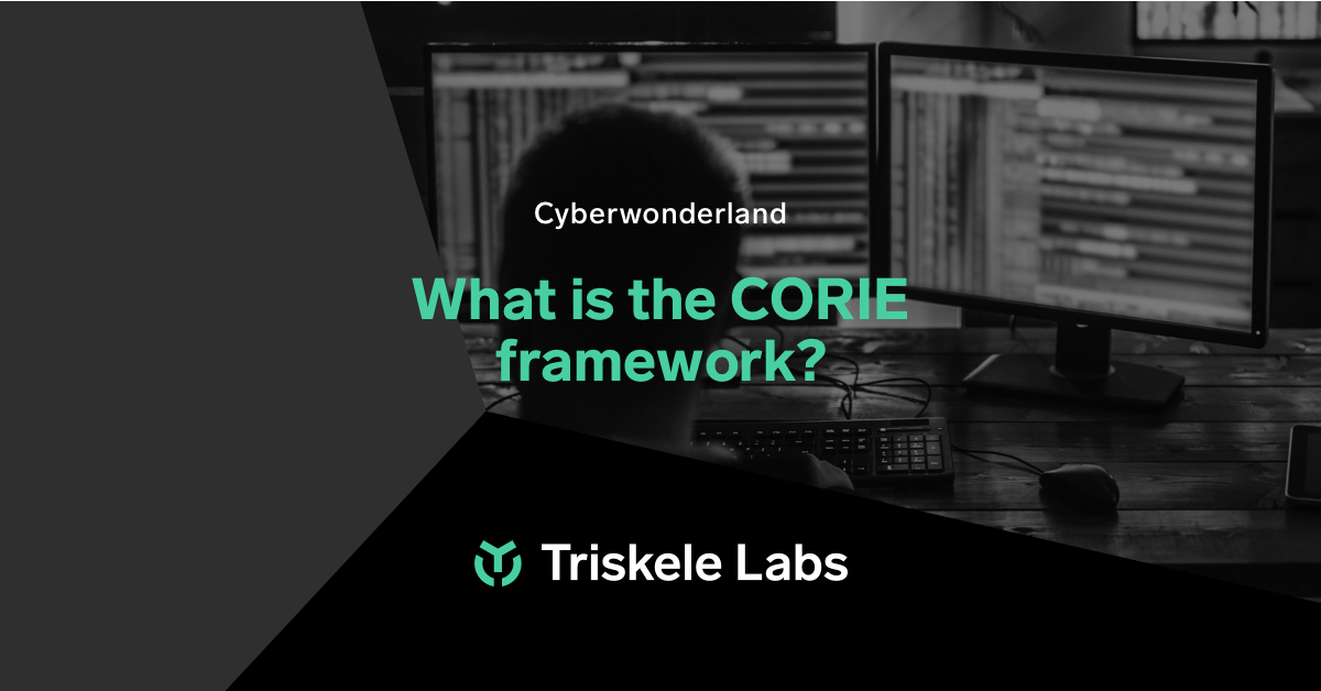 What is the CORIE framework?