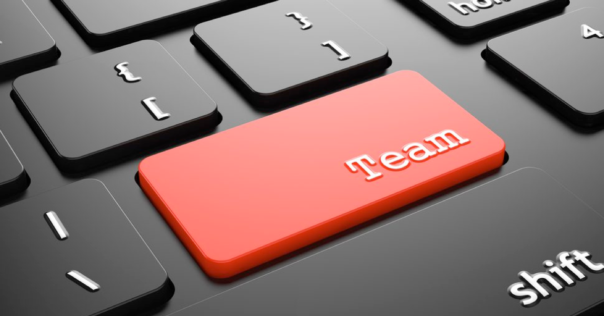 A red team: its basic objectives and functions